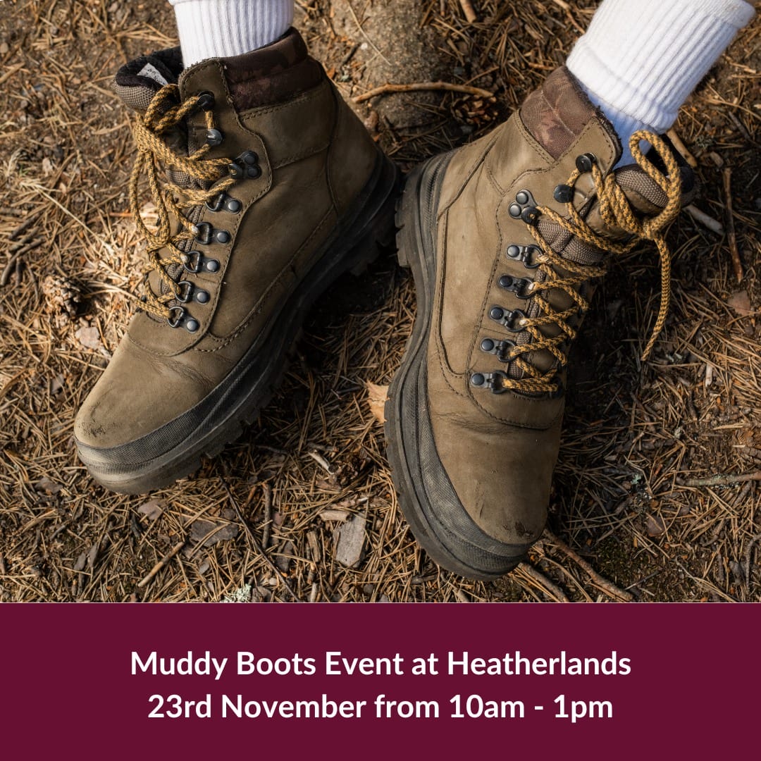 Muddy Boot Event this weekend at Heatherlands, South Chailey - Antler Homes